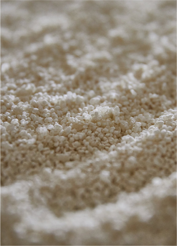 The reason sake rice is polished | The Great Sakes of Hiroshima